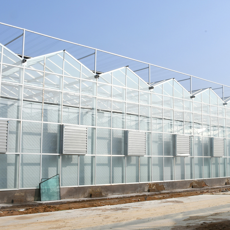Custom Intelligent Agriculture Remote Monitoring System Greenhouse ...