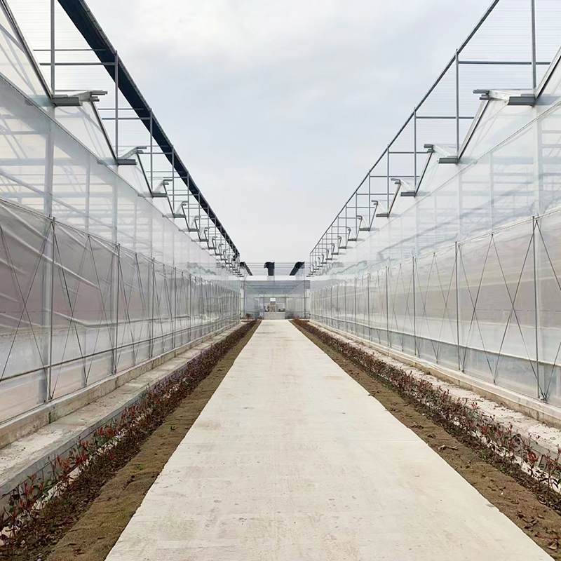 Venlo greenhouse, pc greenhouse, single-span greenhouse, multi-span ...
