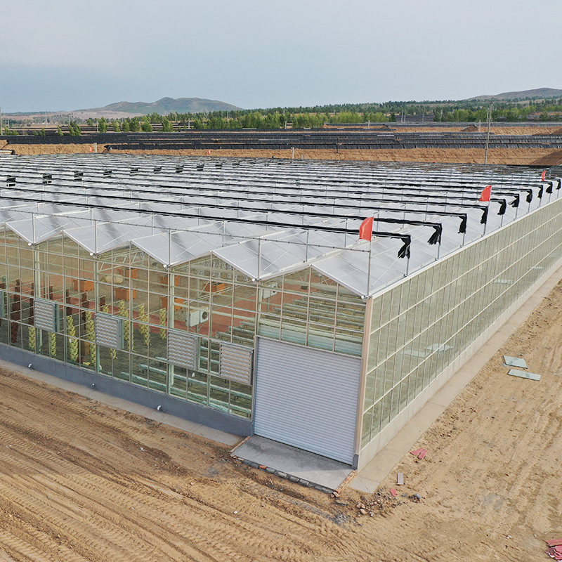 Venlo greenhouse, pc greenhouse, single-span greenhouse, multi-span ...